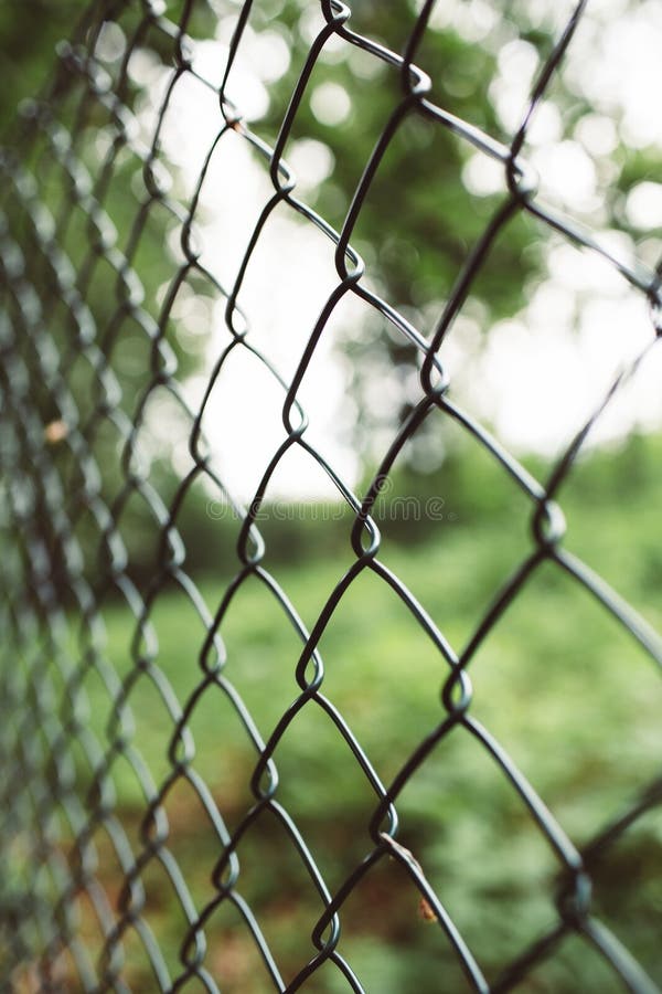 1,112 Wire Privacy Fence Stock Photos - Free & Royalty-Free Stock ...