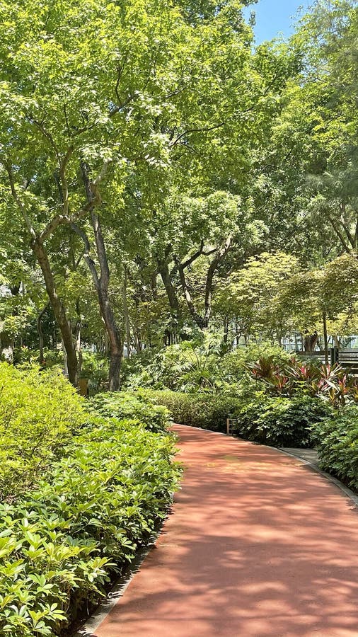 Vertical Jogging and Running Red Outdoor Track with Green Plants and ...