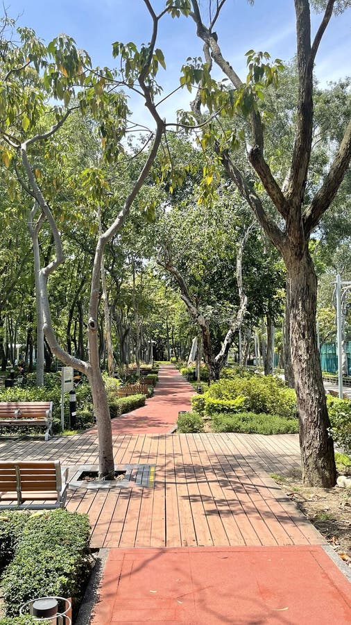 Vertical Jogging and Running Red Outdoor Track with Green Plants and ...