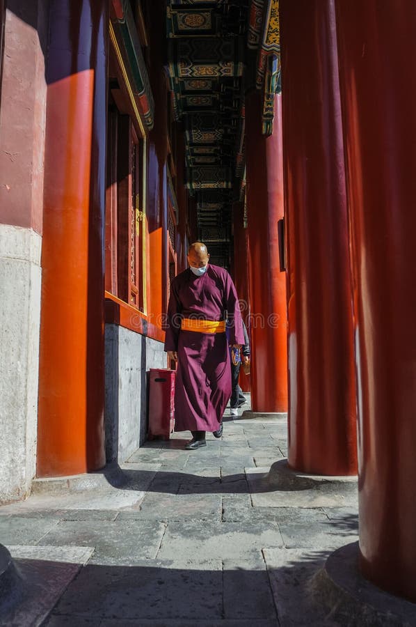 Vertical of a Lama Practitioner Walking and Wearing a Face Mask in a ...