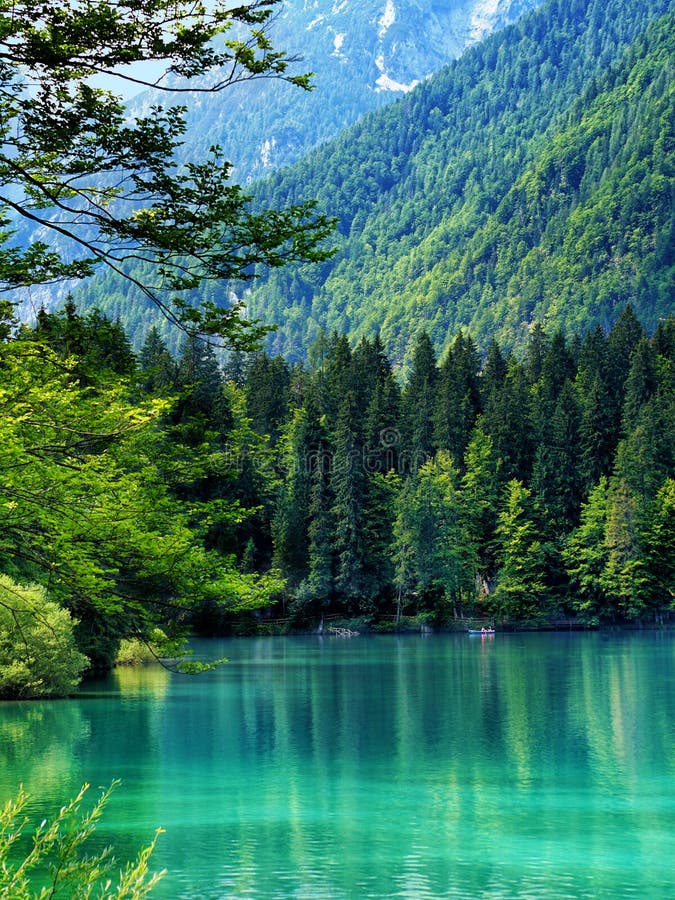 Vertical Landscape Lake Forest Stock Image - Image of summer, trees ...