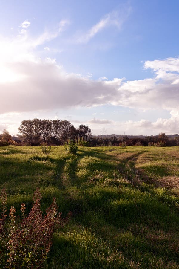 Vertical Landscape with Nice Cloudscape Stock Photo - Image of cloud ...