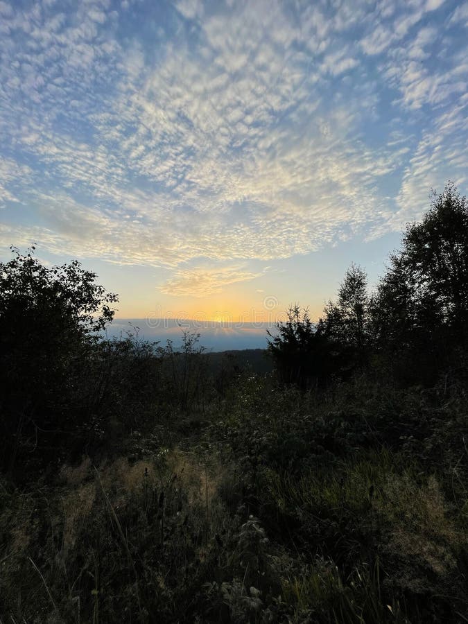 Vertical of Landscape at Sunset with Cloudy Sky and Yellowing Grass ...