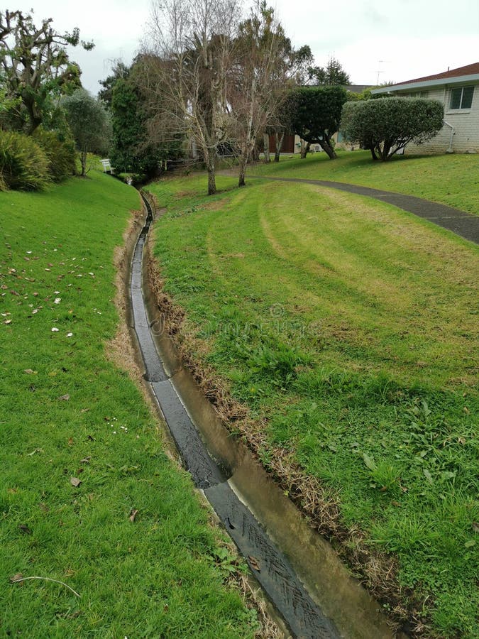 Vertical Landscape View with a Small Stream of Water Flowing Inside a ...