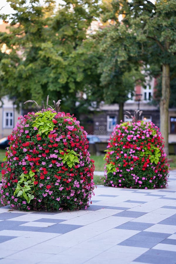Vertical Landscaping with Bright Flowers in the City Park Stock Image ...