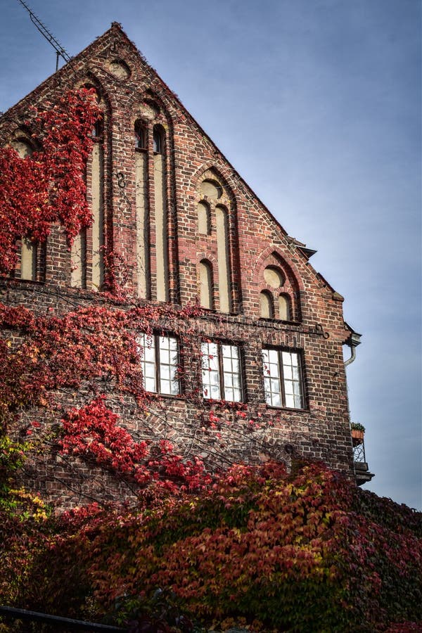 Vertical of a Leaf Coated House with the Vegetation in Fall Colors ...