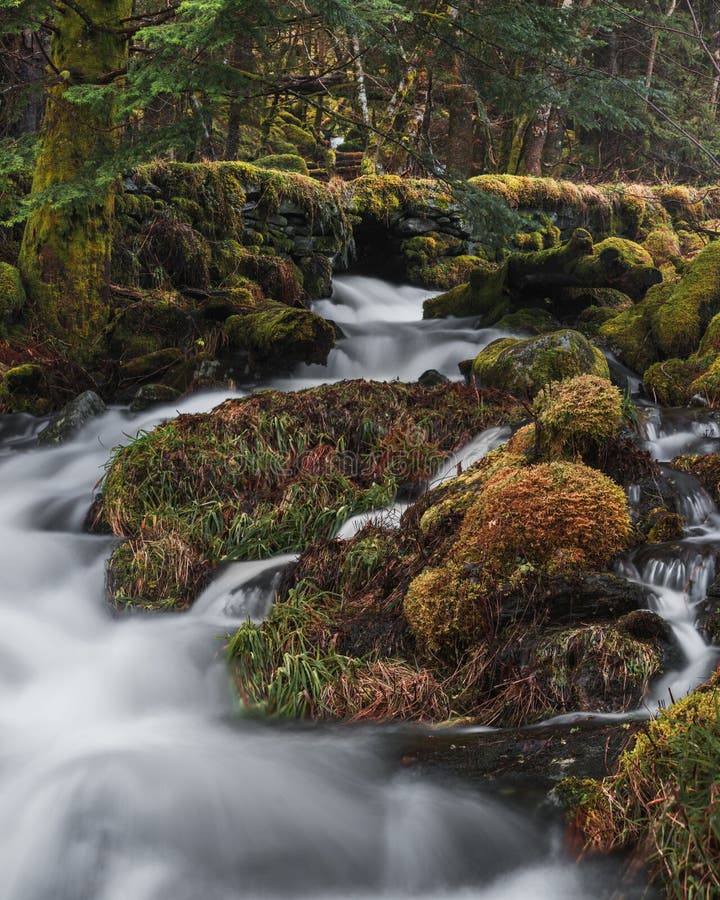 Vertical Long Exposure Shot of a Beautiful Waterfall Surrounded by ...