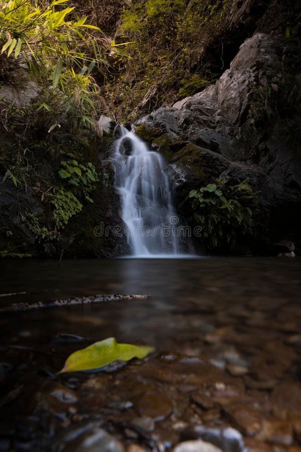Vertical Long Exposure Shot of a Rocky Waterfall in the Green Forest ...
