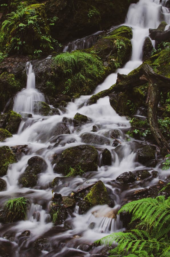Vertical Long Exposure Shot of a Waterfall in the Mossy Rainforest ...