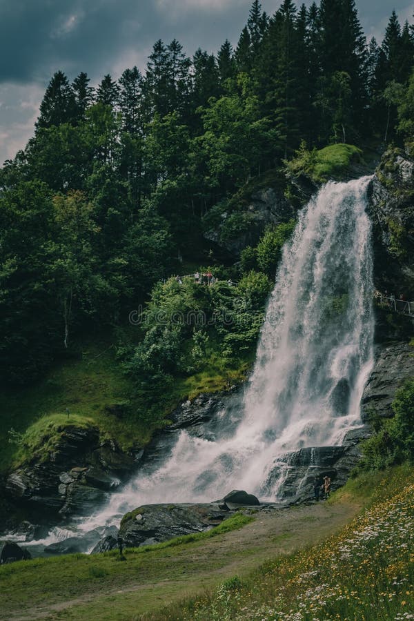 Vertical and Long Exposure Shot of a Waterfall in a Valley Emerging ...