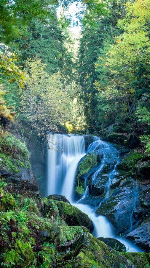 Vertical Long Exposure View of the Scenic Triberg Waterfall Surrounded ...
