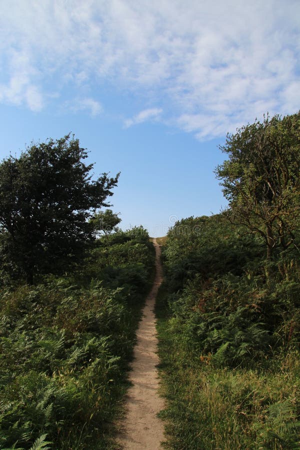 Vertical Long Shot of a Narrow Dirt Path Leading To the Top of a Hill ...