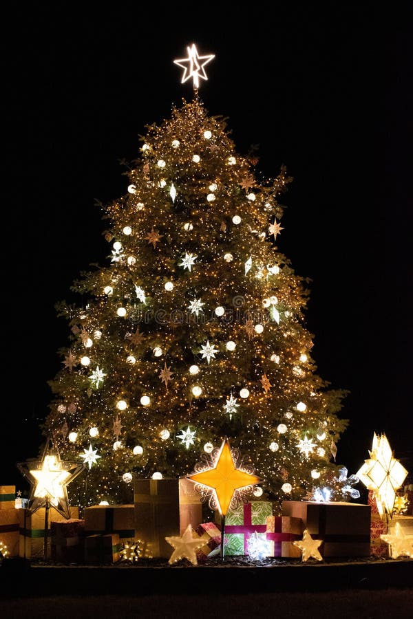 Vertical Low-angle of Decorated Christmas Tree at Night Outdoors Stock ...