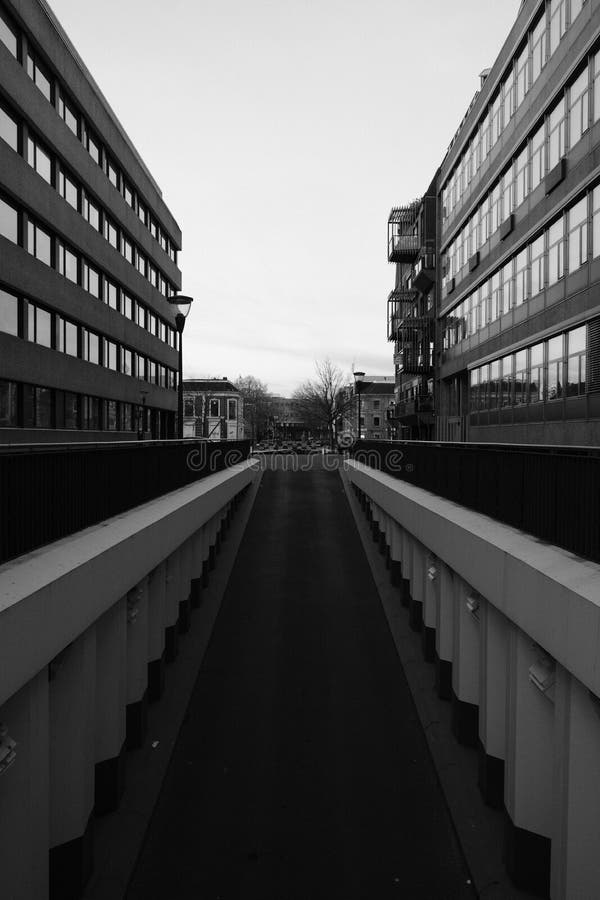 Vertical Low-angle Grayscale of a Bridge with Buildings on Both Sides ...