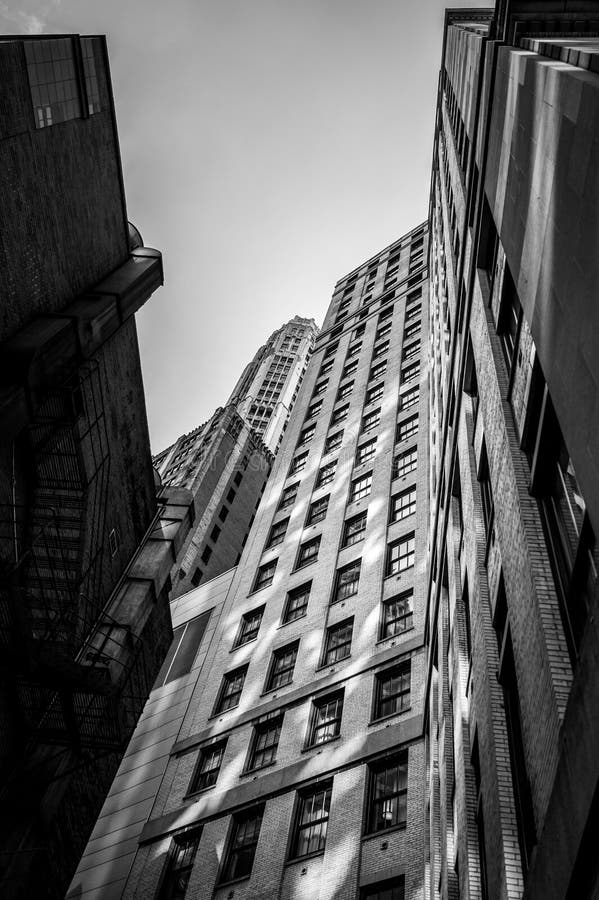 Vertical Low Angle Grayscale Shot of a High Rise Skyscraper Building in ...