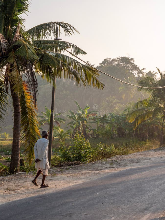 Vertical Low-angle of a Man Walking on a Sunlit Path Surrounded by ...