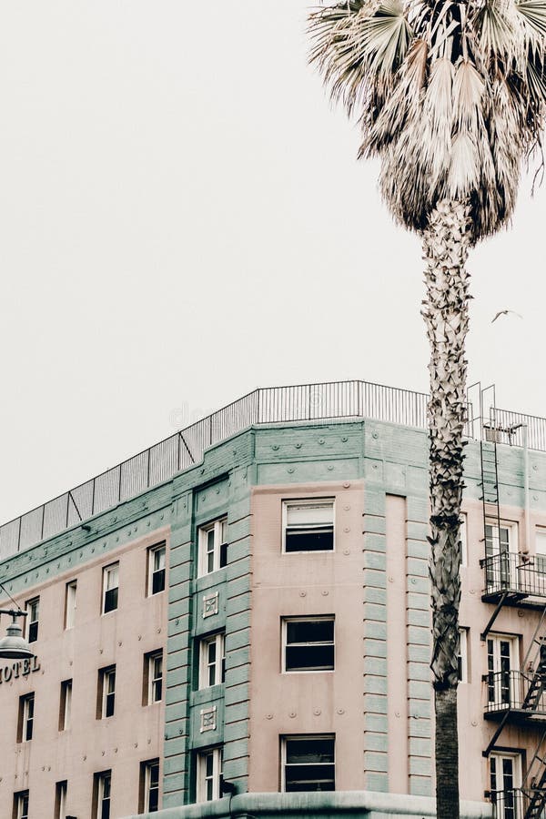 Vertical Low-angle Shot of Architecture with Palm Trees on the Side ...