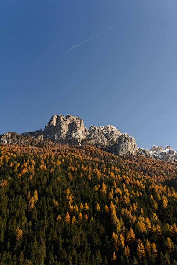 339 Vertical Cliffside Stock Photos - Free & Royalty-Free Stock Photos ...