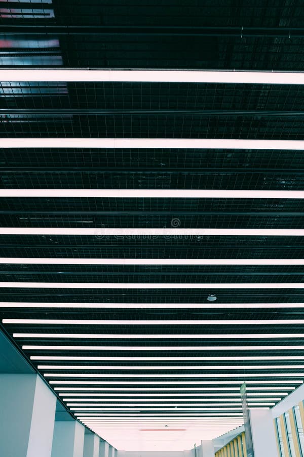 Office Hallway Bright Low Perspective Stock Photos - Free & Royalty ...