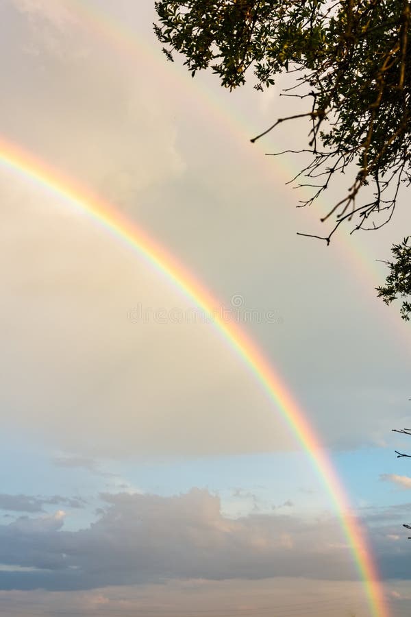 Vertical Low Angle Shot of a Double Rainbow in the Sky Captured from a ...