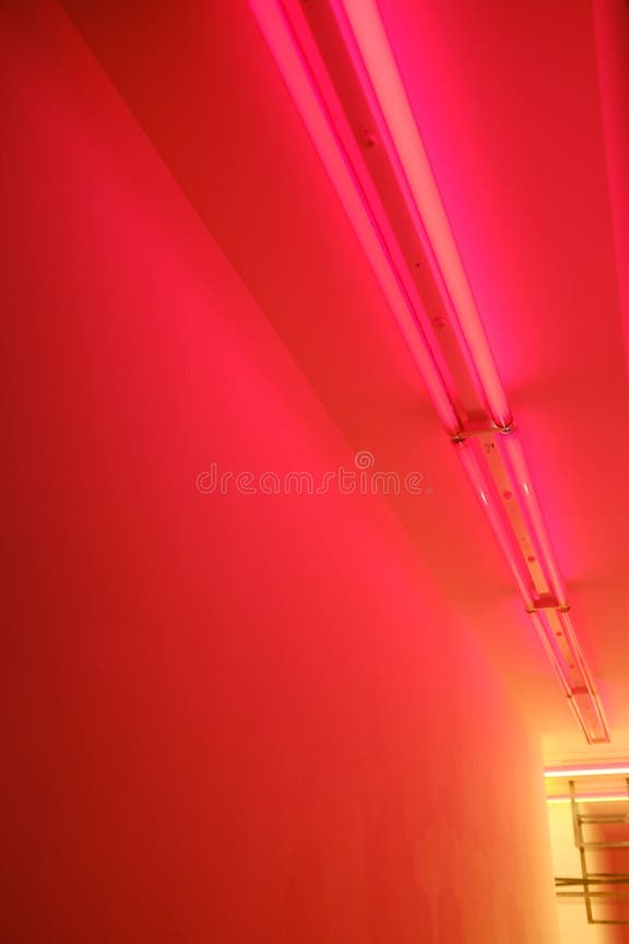 Vertical Low Angle Shot of a Hallway with Red Lamps on the Ceiling ...