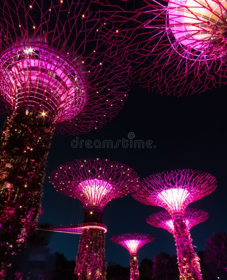 Vertical Low Angle Shot of the Illuminated Pink Supertree Grove in ...