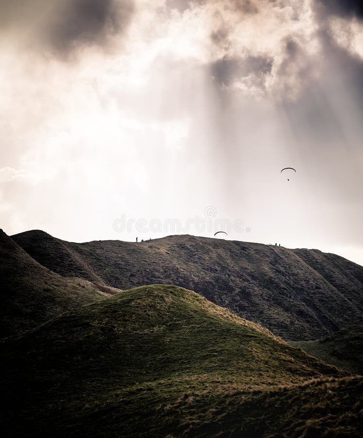Vertical Low Angle Shot of Kites Flying in the Sky Over the Tree ...