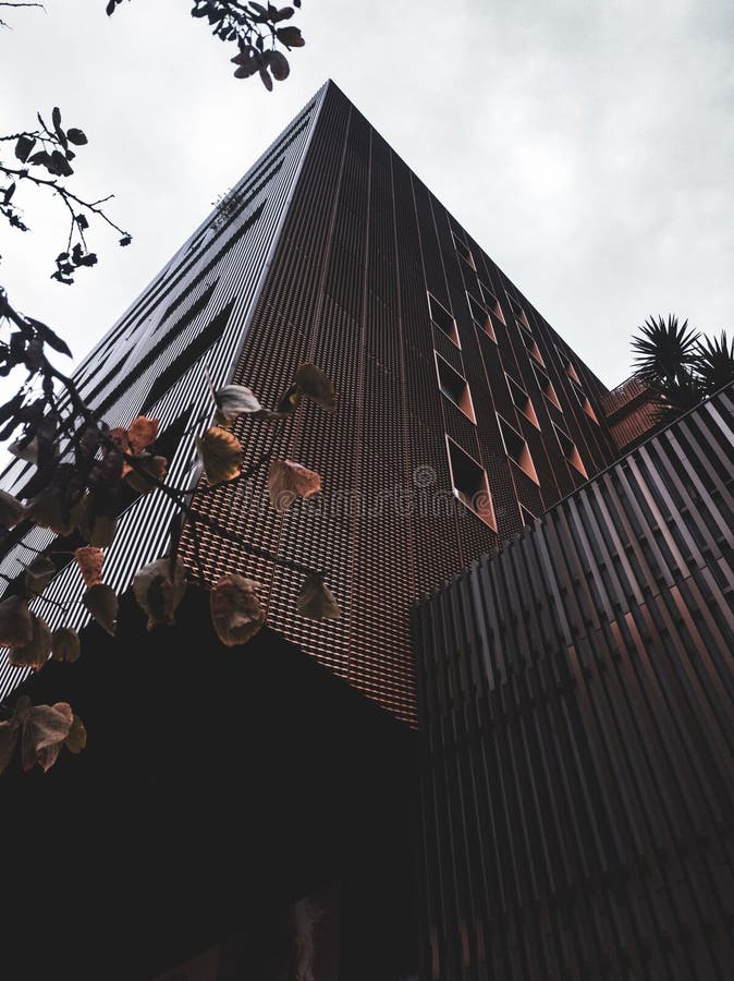 A Vertical Low Angle Shot of a Modern Dark Building Near Tree Branches ...