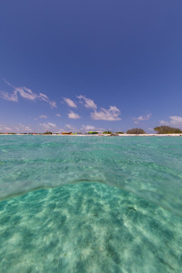 Vertical Low Angle Shot of the Ocean in Bonaire, Caribbean Stock Photo ...