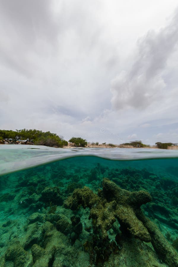 Vertical Low Angle Shot of the Ocean in Bonaire, Caribbean Stock Photo ...