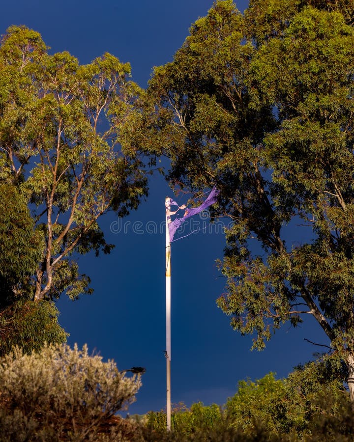 Vertical Low Angle Shot of a Ripped Flag on a Pole Seen from between ...