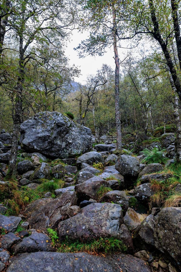 Vertical Low Angle Shot of a Rocky Pathway on a Mountain Surrounded by ...