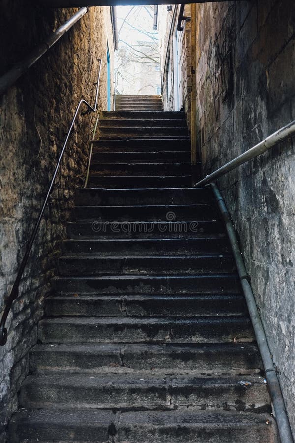 Vertical Low Angle Shot of Stairs Stock Image - Image of nature, road ...