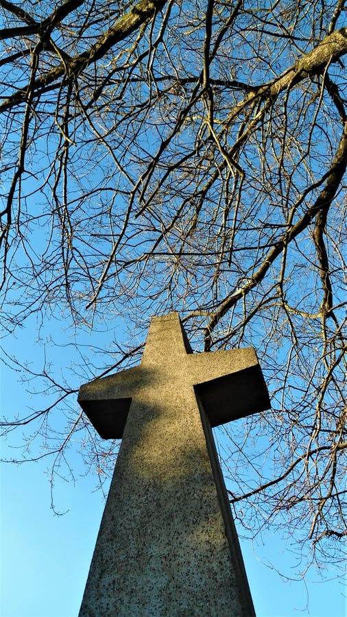 Vertical Low Angle Shot of Stone Made Cross Statue with Branches and ...