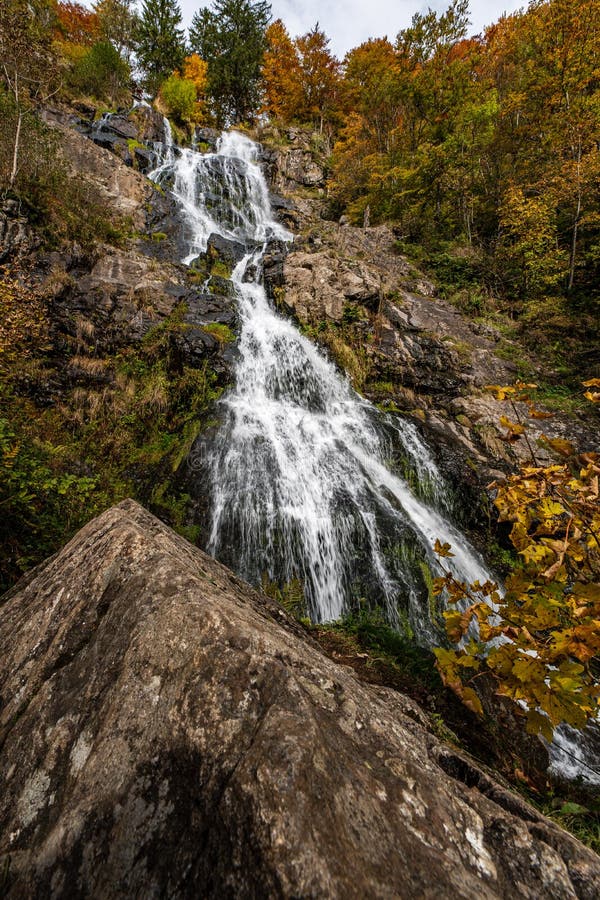 Vertical Low-angle Shot of a Tiny Waterfall in the Woods Stock Image ...