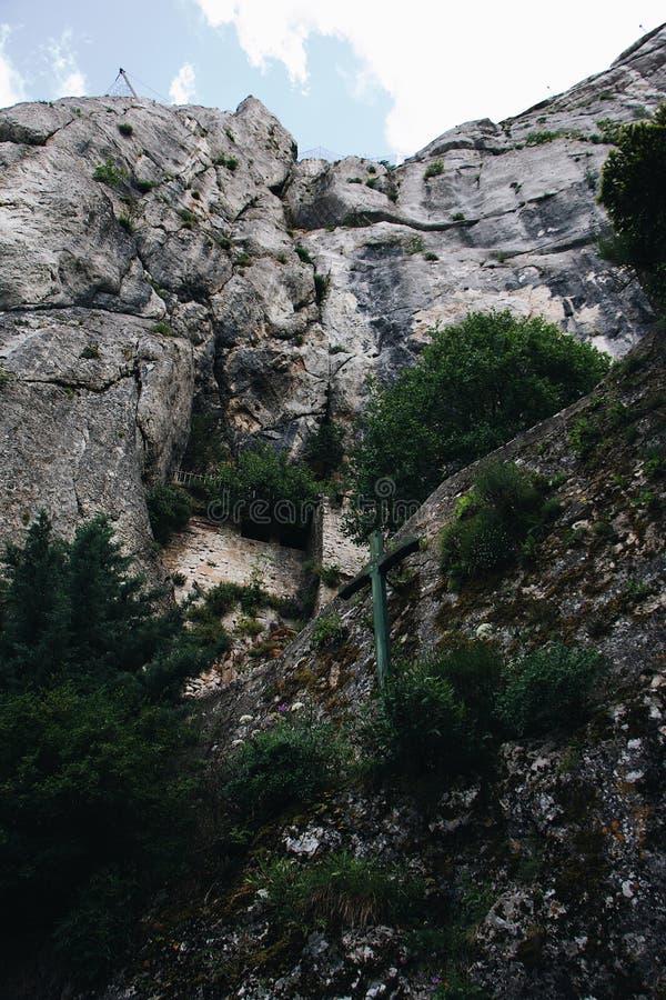 Vertical Low Angle Shot of a Tree-covered Cliff Captured during the ...