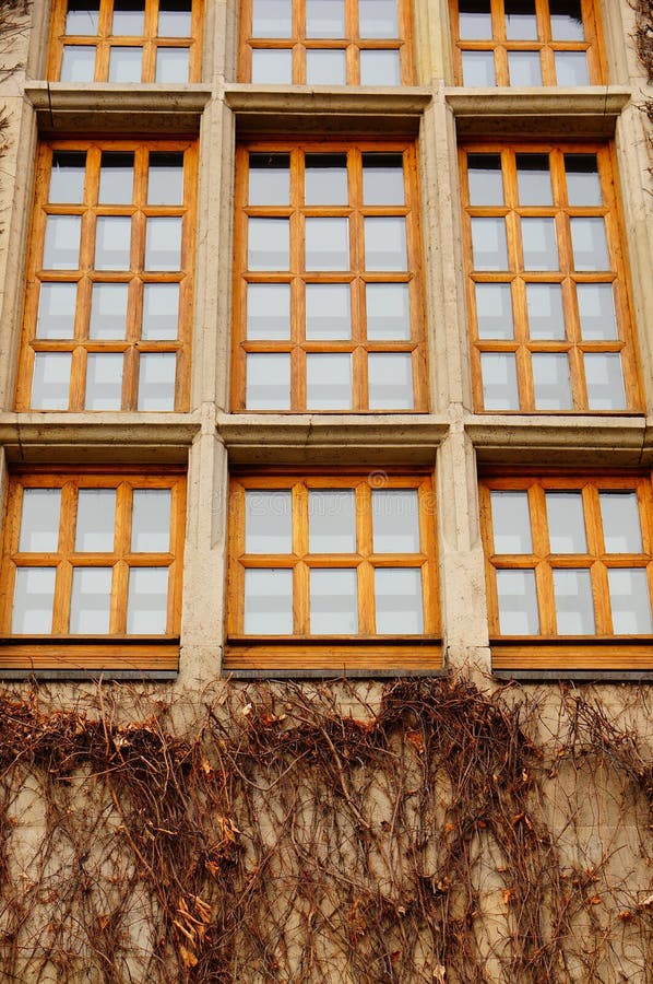 Vertical Low Angle Shot of the Windows of a Building with Yellow ...