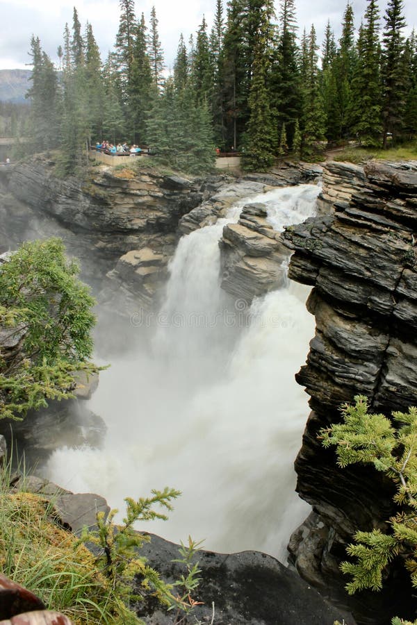 Vertical of the Mesmerizing Athabasca Falls, Waterfall in Jasper ...