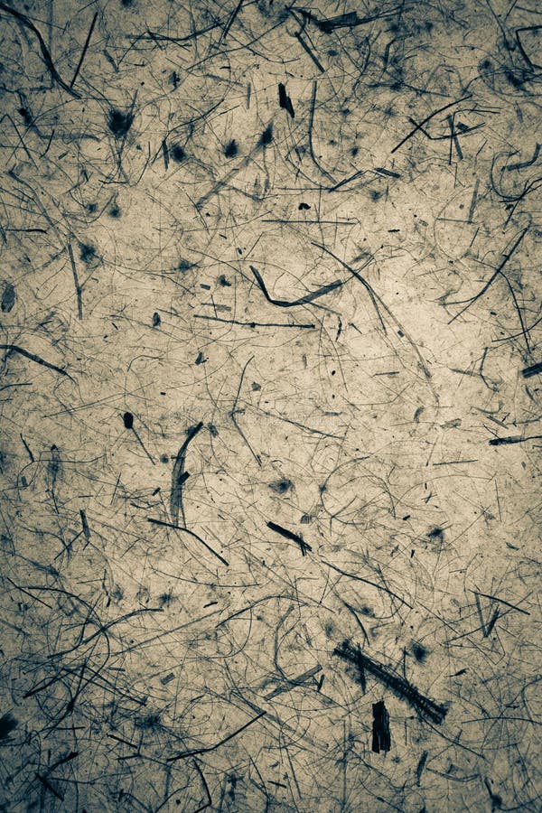 Vertical Microscopic Shot of Small Patterns on a White Surface Stock ...