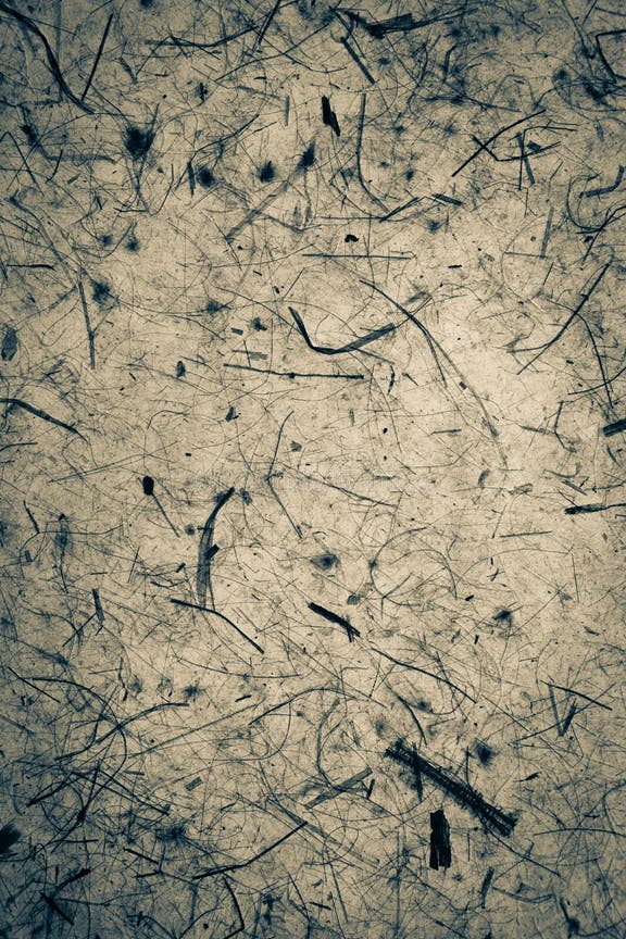 Vertical Microscopic Shot of Small Patterns on a White Surface Stock ...