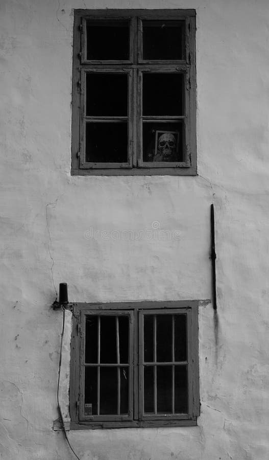 Vertical Monochrome Shot of the Skull Visible through the Old Windows ...