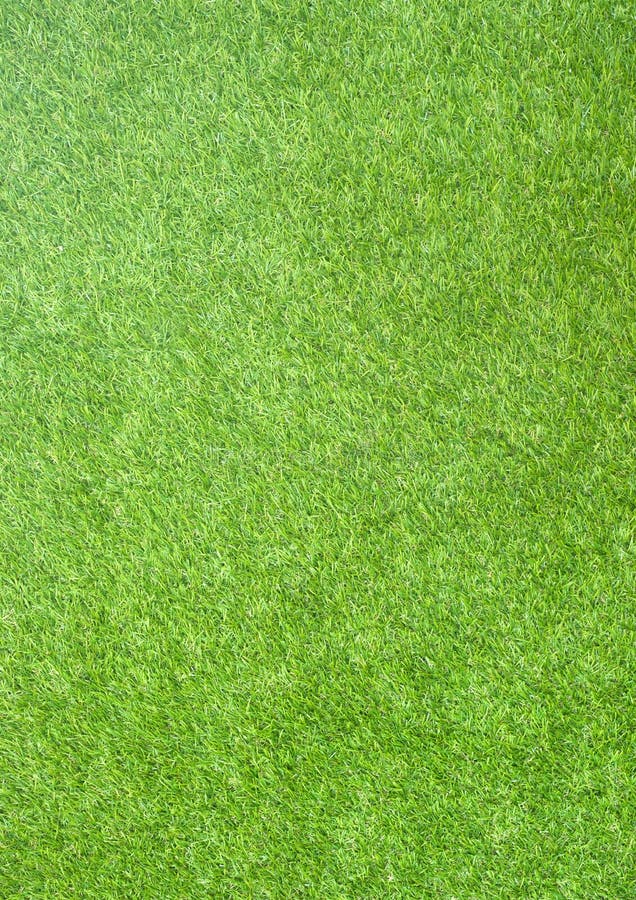 Vertical Natured Green Grass Field Texture Paper Background Stock Photo ...
