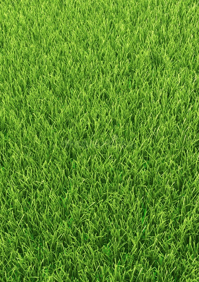 Vertical Natured Green Grass Field Texture Paper Background Stock ...