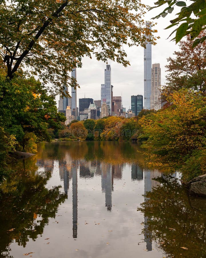 Vertical of NYC Skyscrapers Skyline and Reflection through the Autumn ...