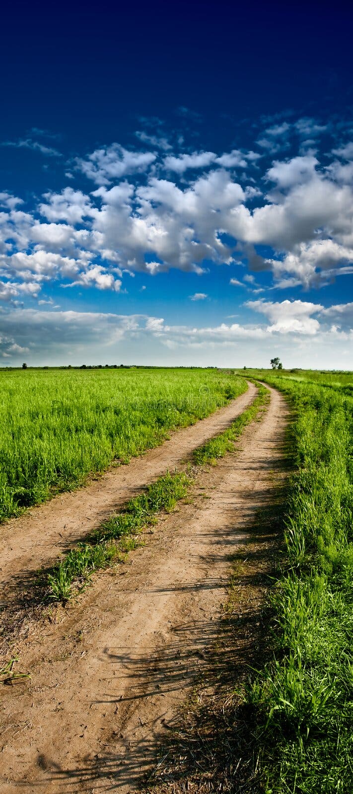 823 Vertical Panorama Country Road Stock Photos - Free & Royalty-Free ...