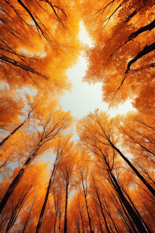 Vertical Panorama Vertorama Bright Autumn Forest Generative Ai ...