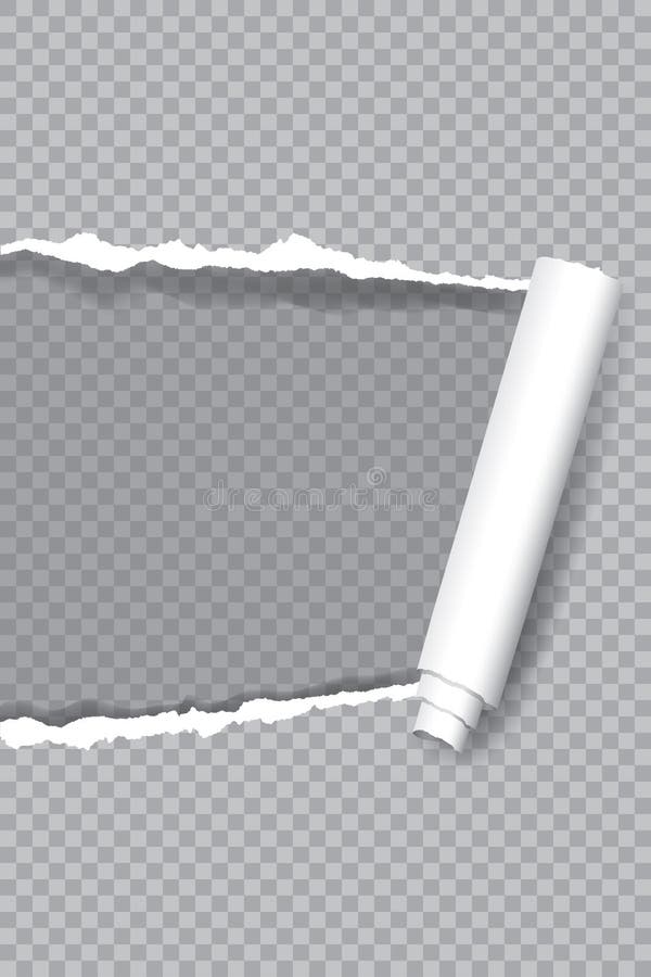 Vertical ripped paper stock illustration. Illustration of background ...