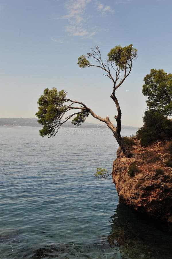 Vertical Part of Brela Symbol Stock Image - Image of makarska, brela ...