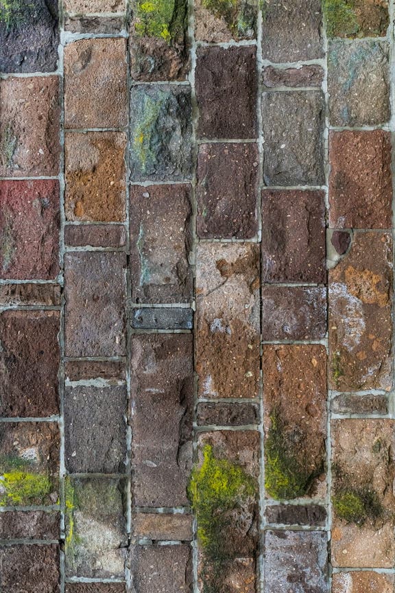 Vertical Pattern Stone Cobblestones with Green Moss Texture Solid Stock ...