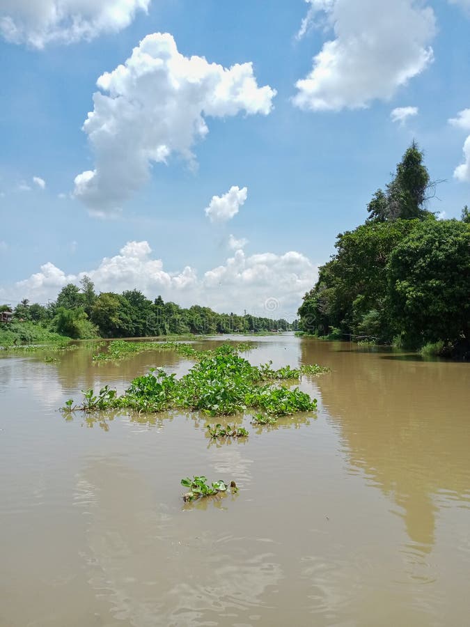 Vertical Perspective View: River Has Floating Plants and the Sky with ...